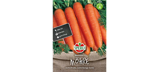 Möhre 'Rote Riesen 2', Daucus carota var. sativus 'Rote Riesen 2 ...